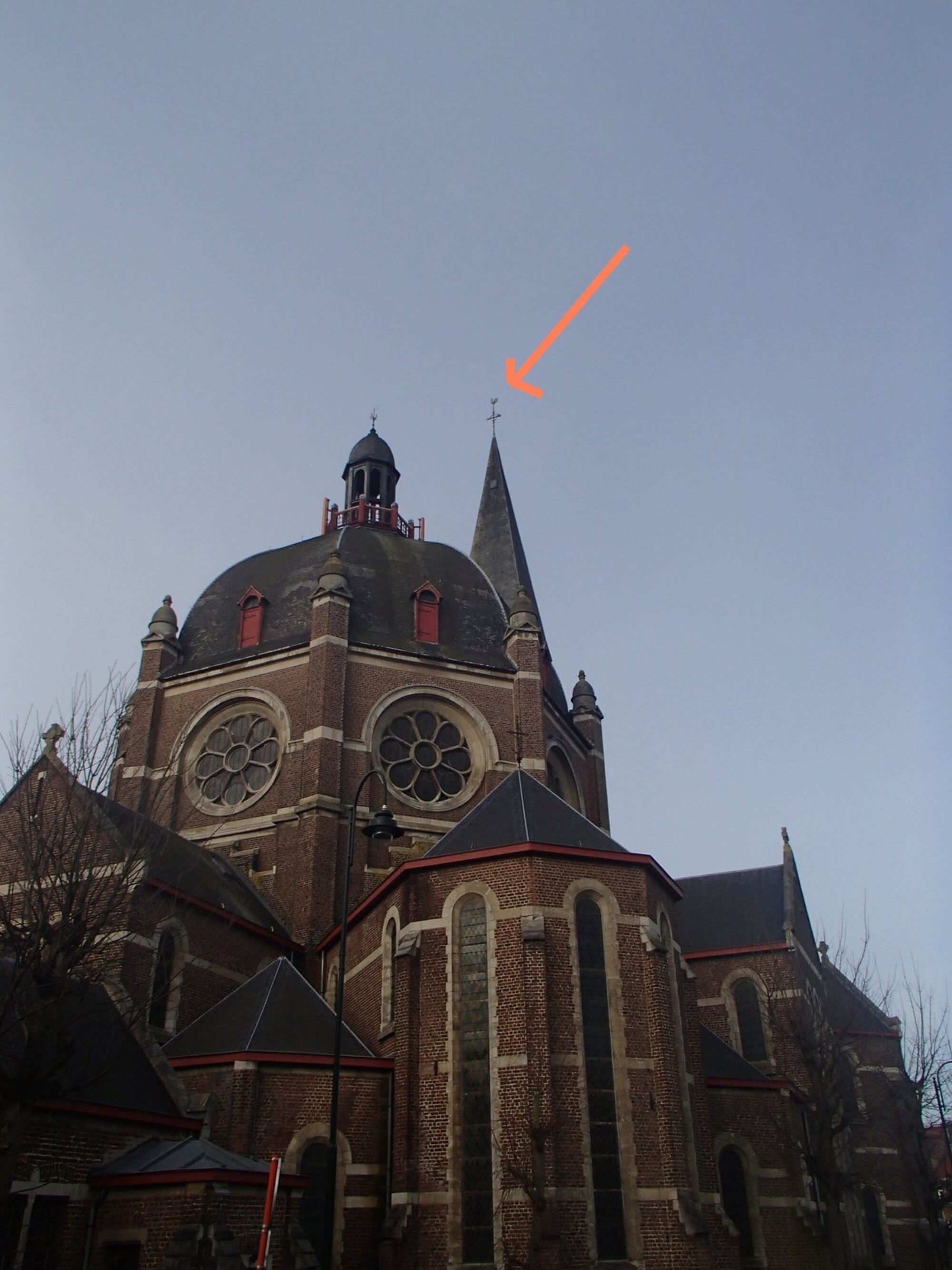 Un sauvetage réussi ! - Faucons pour tous 2025